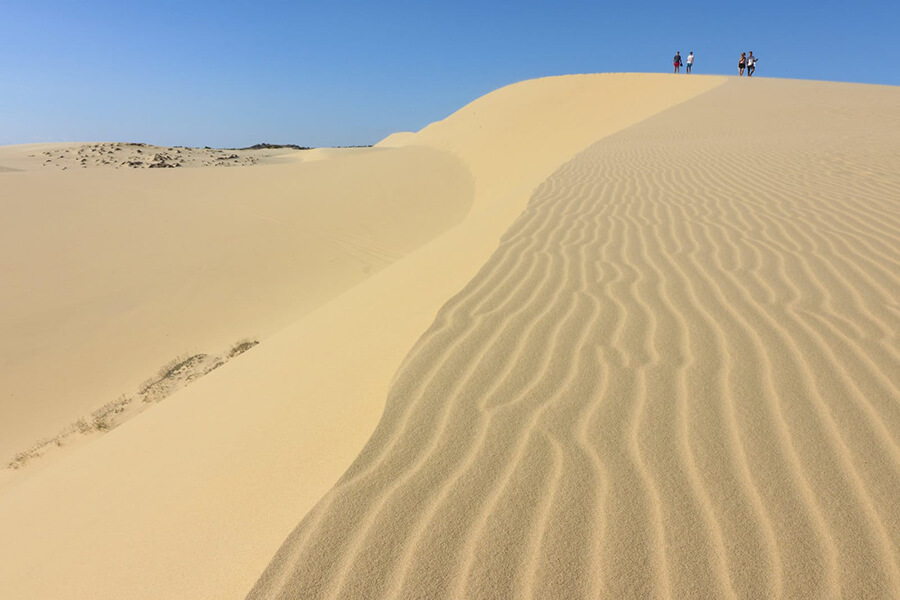 Saigon to Mui Ne Day Tour - Saigon Local Tour